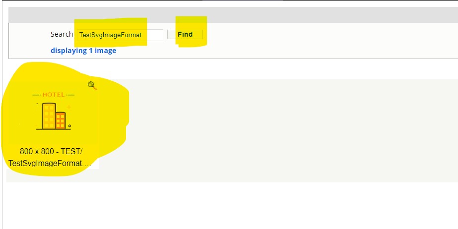 Uploaded SVG images not displaying on UI | Support Center